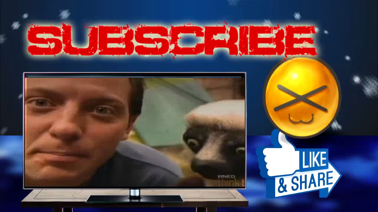 Zoboomafoo Homes - YouTube