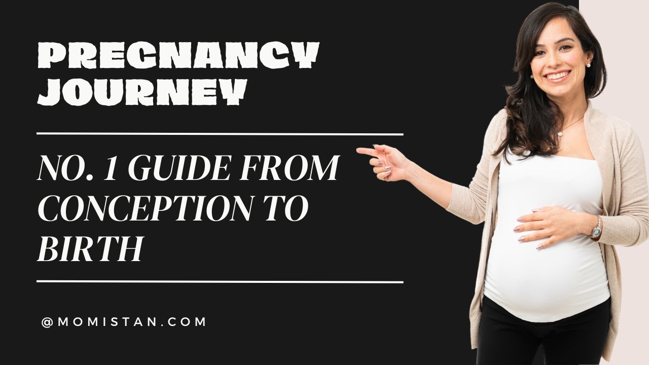 Pregnancy Journey From Conception to Birth | No.1 Guide #pregnancy # ...