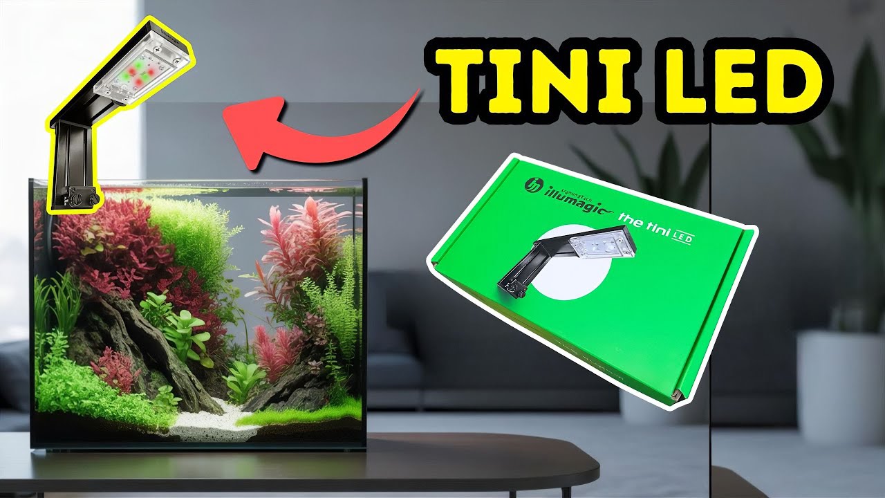 Best Light For Plant Growth 2026 | TINI LED - YouTube