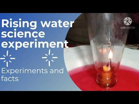 Rising water science experiment. science tricks 👍👍👍 #science - YouTube