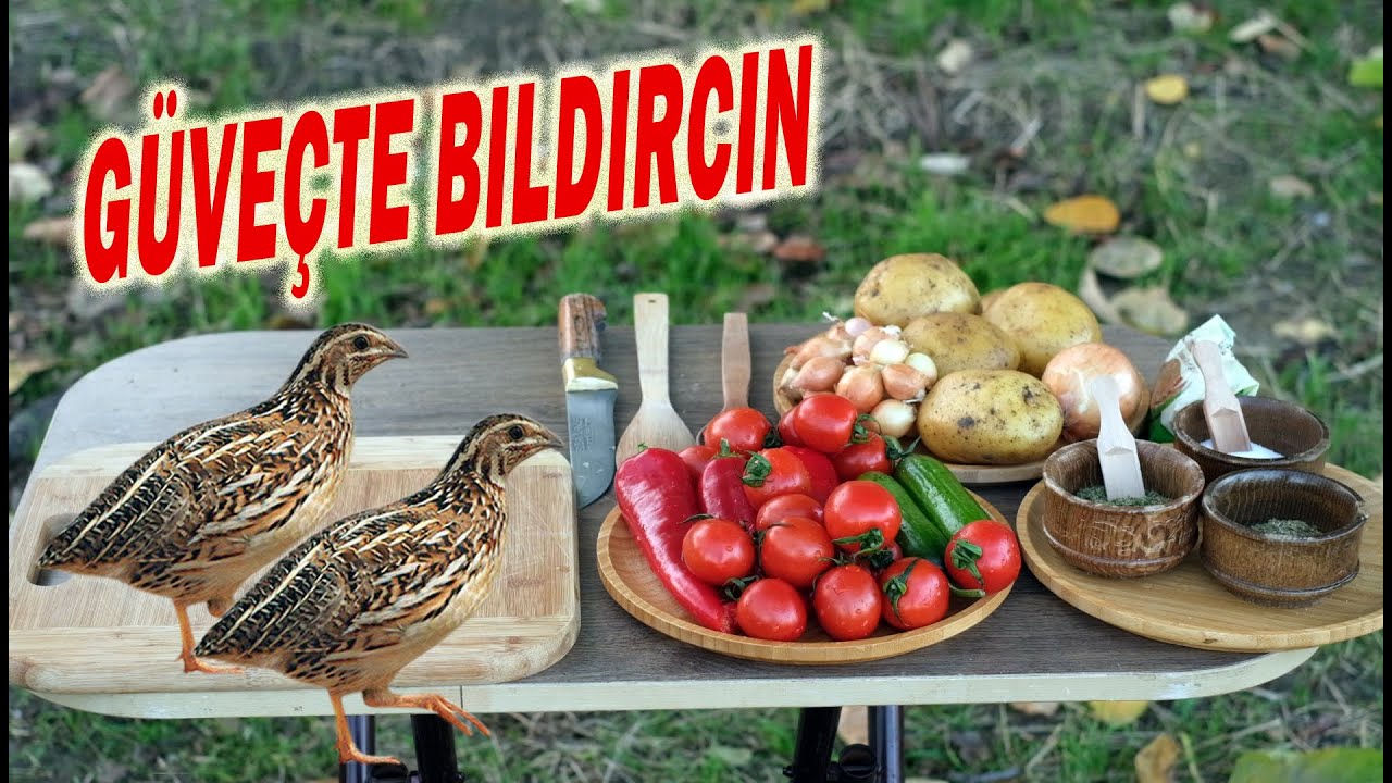 BILDIRCINI BÖYLE DENEDİNİZMİ - GÜVEÇTE BILDIRCIN ( ODUN ATEŞİNDE ...