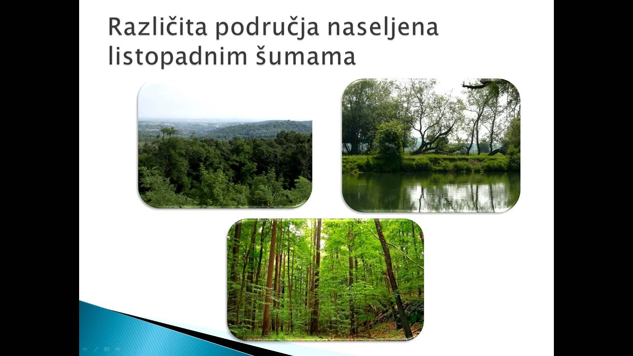 Liscarsko listopadne sume PREZENTACIJA - YouTube