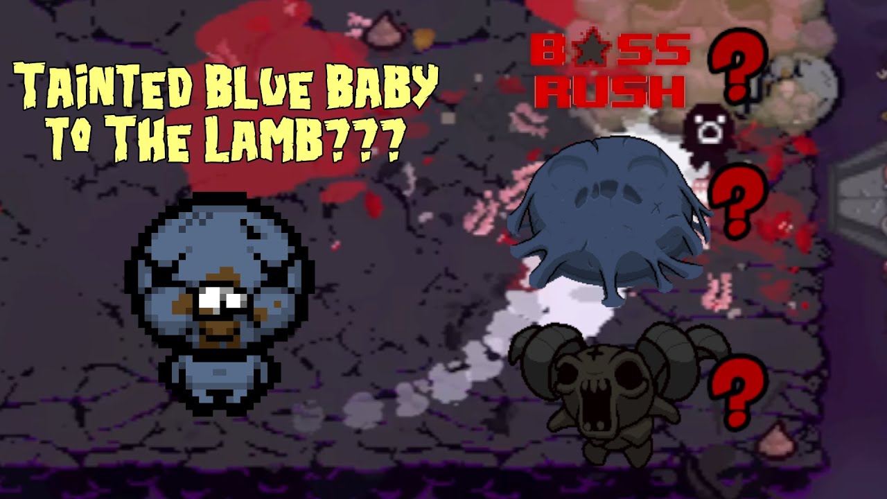 Tainted Blue Baby to Boss Rush Hush and The Lamb? | The Binding of ...