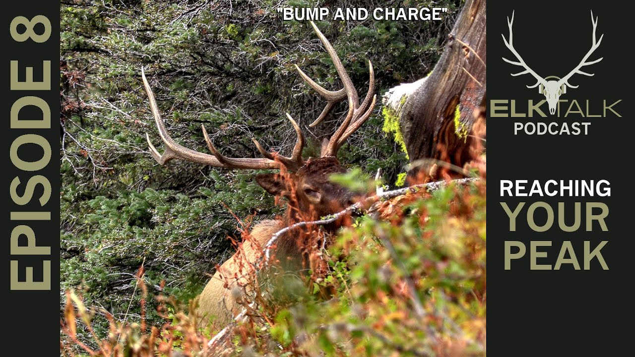 The Bump and Charge Tactic - "Reaching Your Peak" podcast (Episode 8 ...