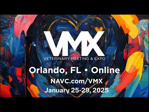 Curiosity Sparked: Delve into VMX 2025's Festival of the HeARTs! - YouTube