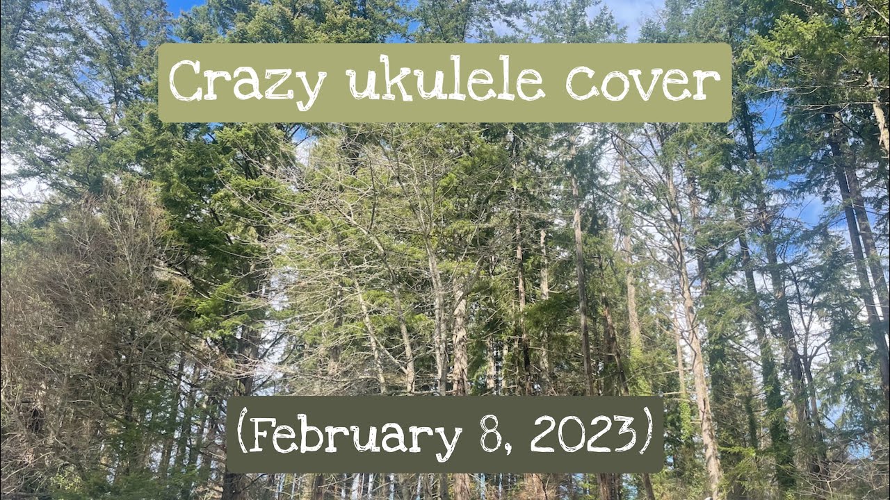 Crazy ukulele cover (February 8, 2023) - YouTube