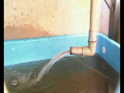 Basic Aquaponics - Siphon Flush Cycle - YouTube