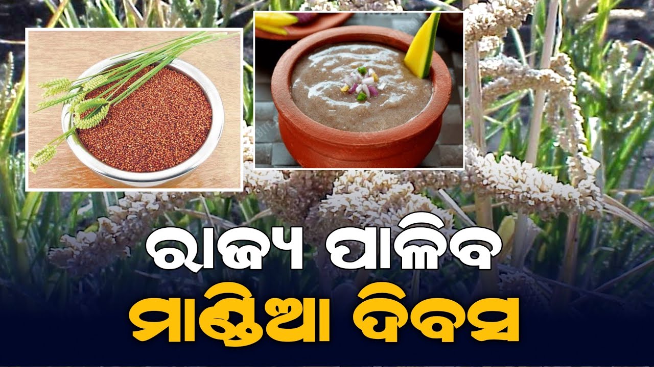 Odisha Will Celebrate Mandia Divas On 10th Nov, CM Naveen Patnaik ...