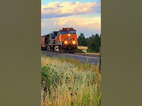 BNSF And NS Lashup Lead a Grainer! - YouTube