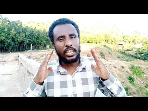 How can we analyze and interpret data effectively (Amharic tutorial ...