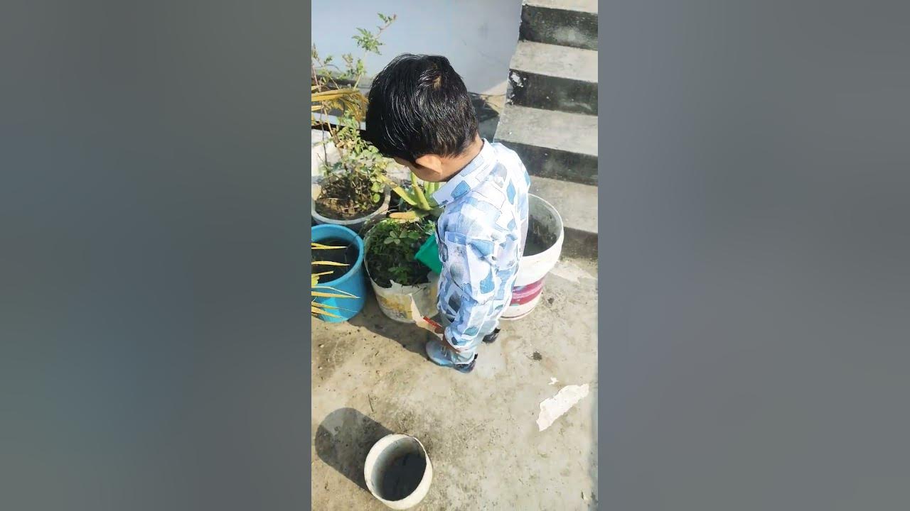 23 November 2025 - YouTube