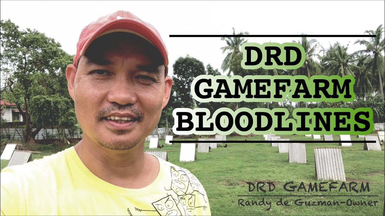 DRD GAMEFARM TOUR - YouTube
