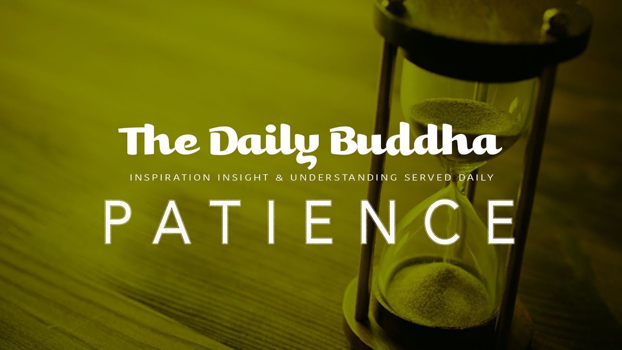 The Daily Buddha - Patience - YouTube