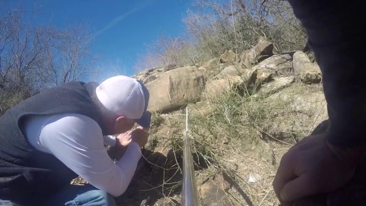 Catching Rattlesnakes in West Texas - YouTube