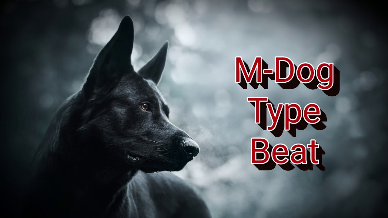 Hip Hop Type Beat | M-Dog Beat - YouTube