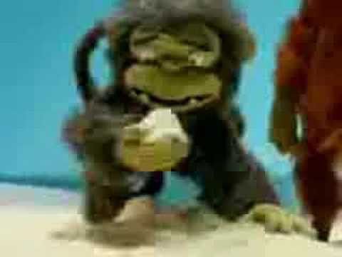macaco tarado - YouTube
