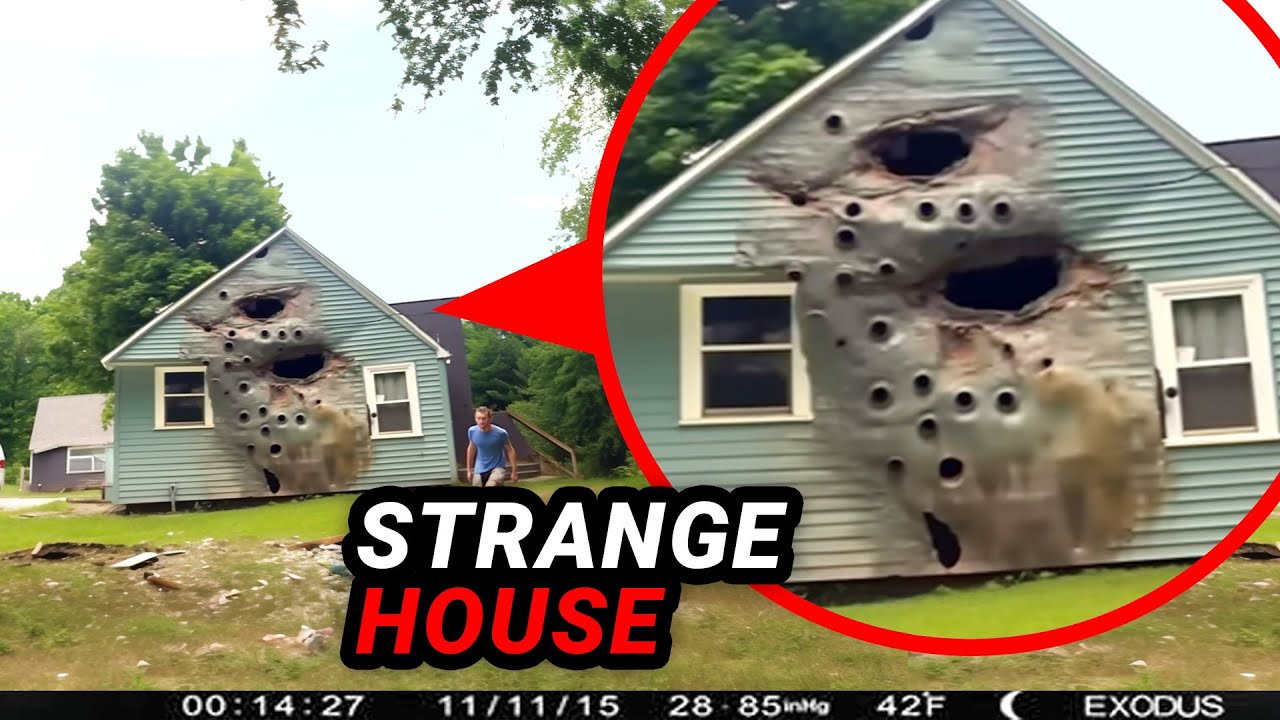 Most BIZARRE Viral Videos That Experts Can't Explain - YouTube