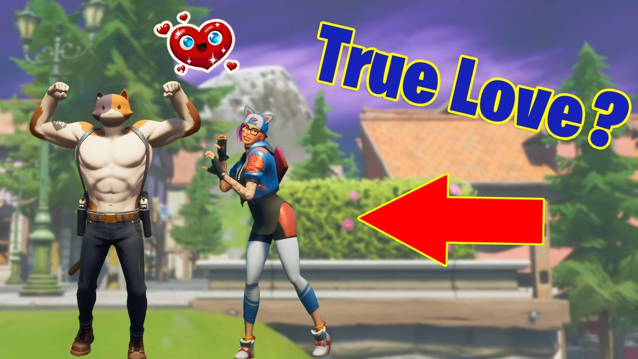 Lynx Meowscles A Love Story Fortnite Youtube