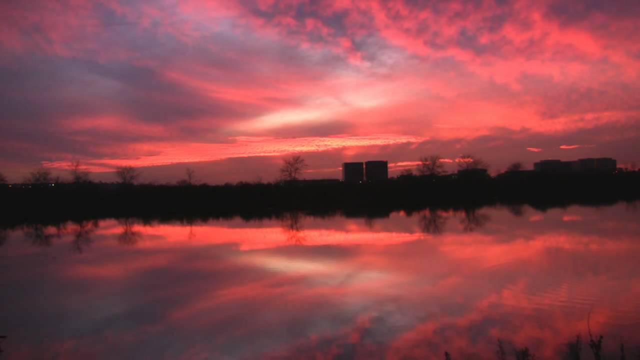 San Joaquin Marsh, Ducks, and Beautiful Sunset - YouTube