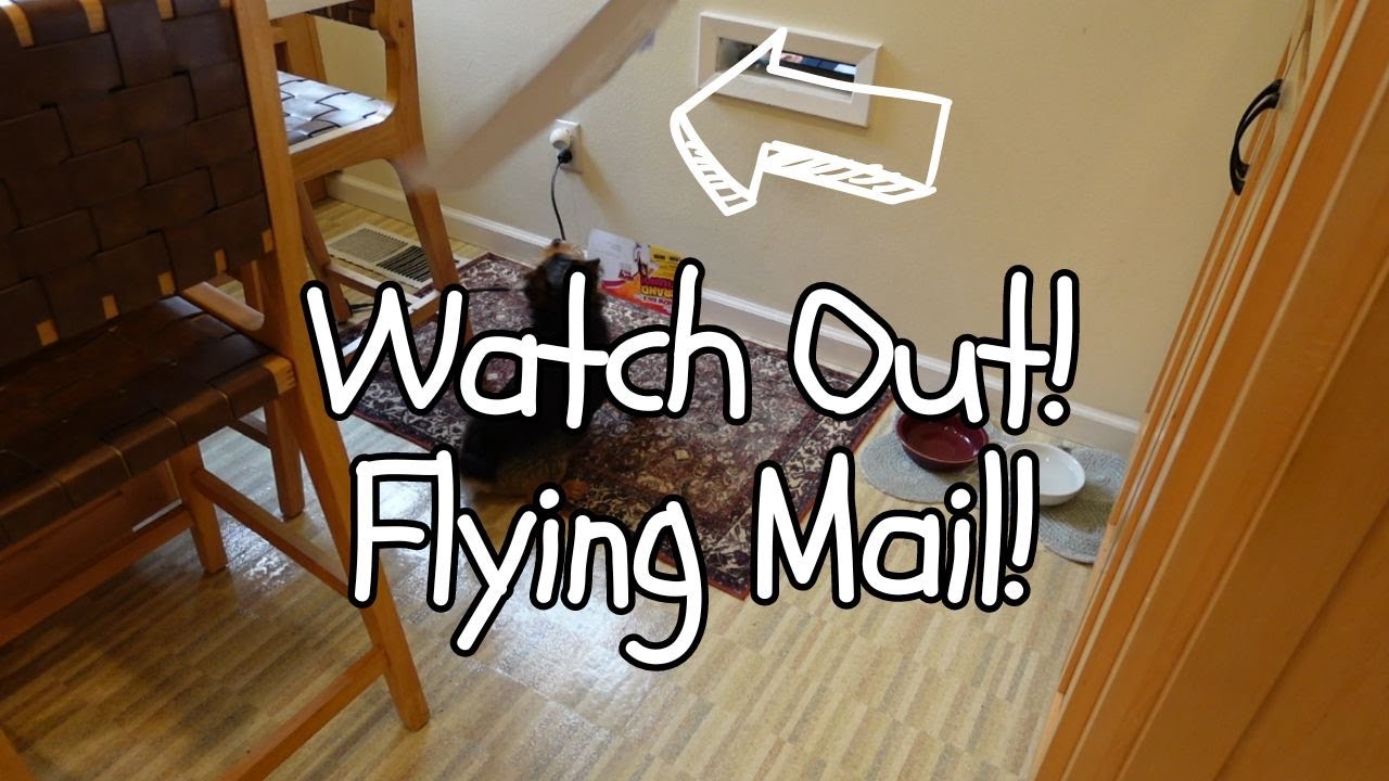 Bernice Launches a Letter! - YouTube