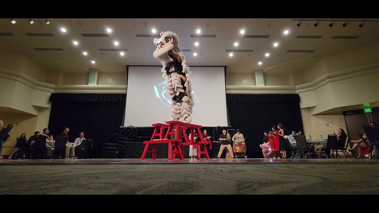 Red Lotus Lion Dance | VSA Banquet - YouTube