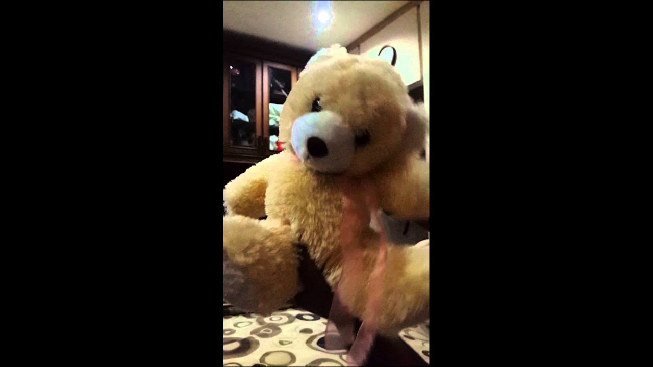 Drunk Teddy Bear - YouTube