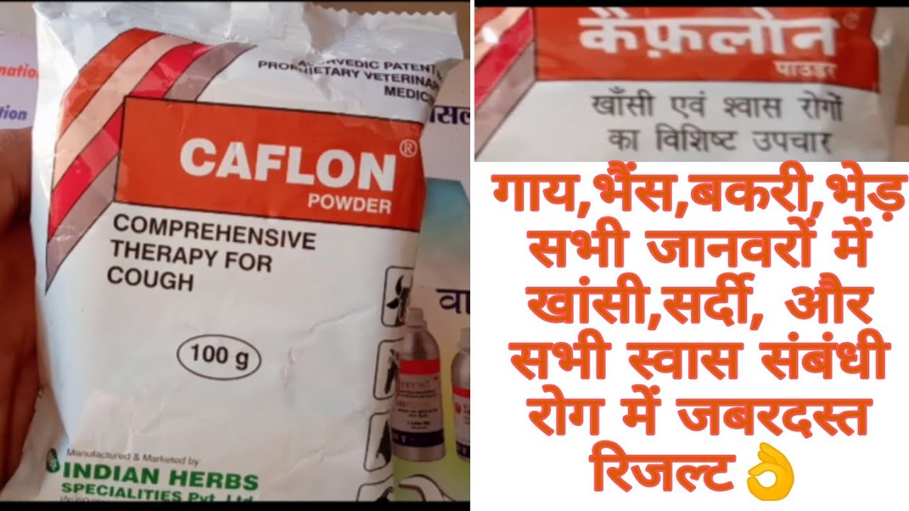 Caflon Powder पशुओं के खांसी जुकाम की दवा(Indian Harbs) Review uses and ...