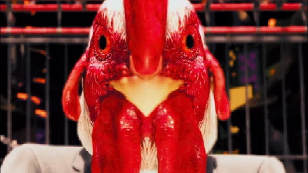 Chicken Becomes a Yakuza Legend - YouTube