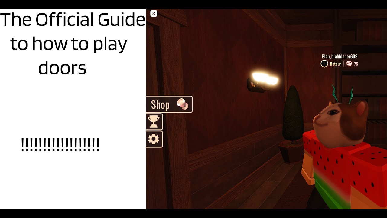 The Official Guide to how to play doors - YouTube