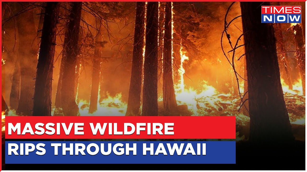 Hawaii Wildire Kills 6, Dozens Injured; Dramatic Visuals Of Fire ...