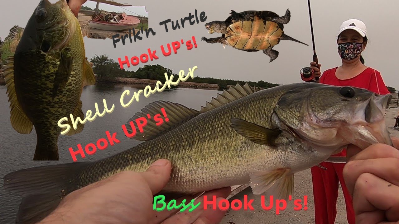 Interesting day Bass & Sunfishing, guy next to us pulls in a MONSTER! And.. - YouTube