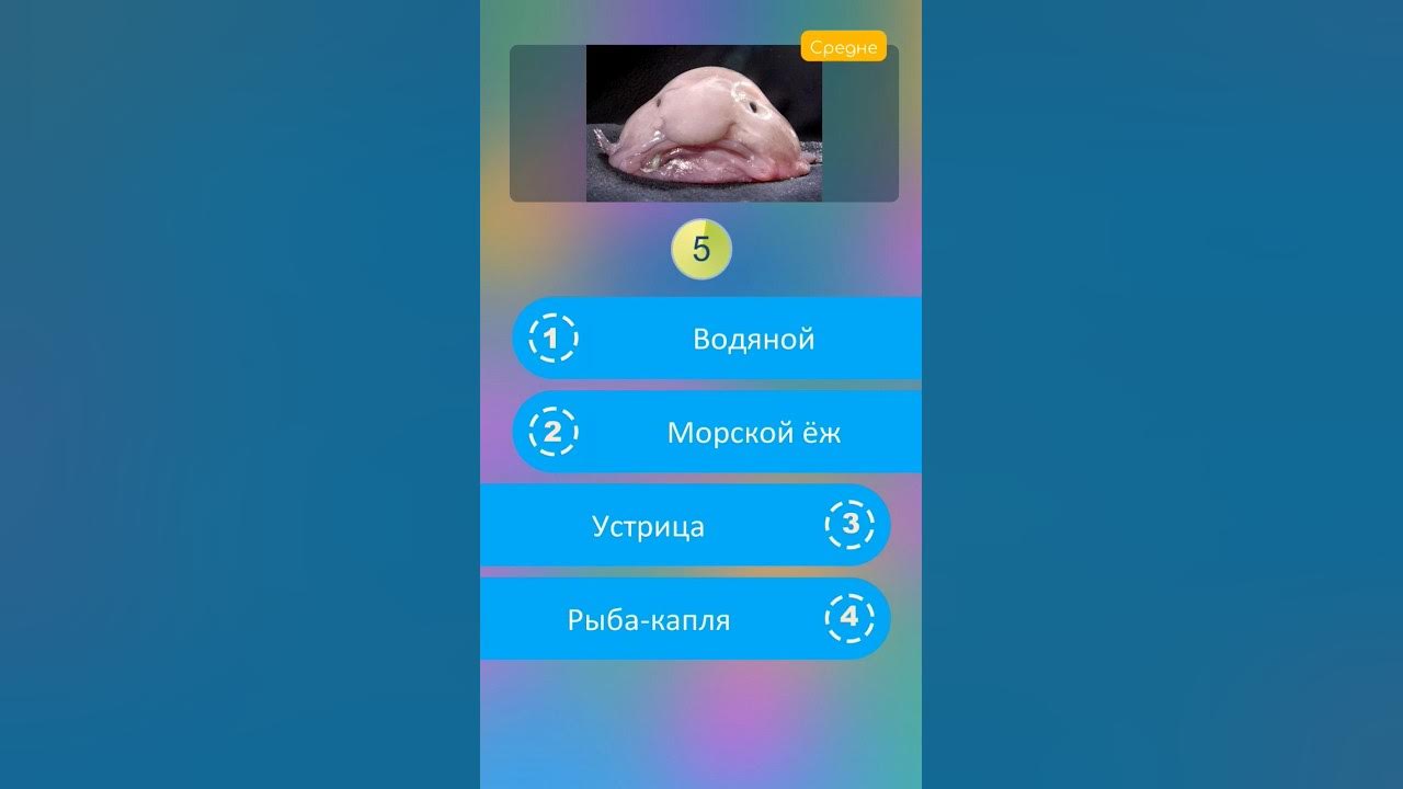 Что изображено на фотографии? #викторины - YouTube