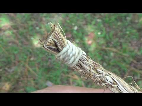 Scouting America: How to Tie a Half Knot (West Country) Whipping - YouTube