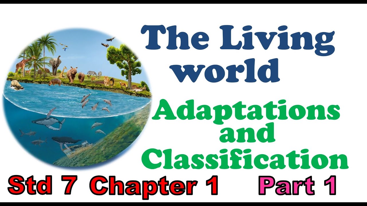 7th Std Science Chapter 1 The Living World Adaptions And Classification 7th-std-science-chapter-1-the-living-world-adaptions-and-classification