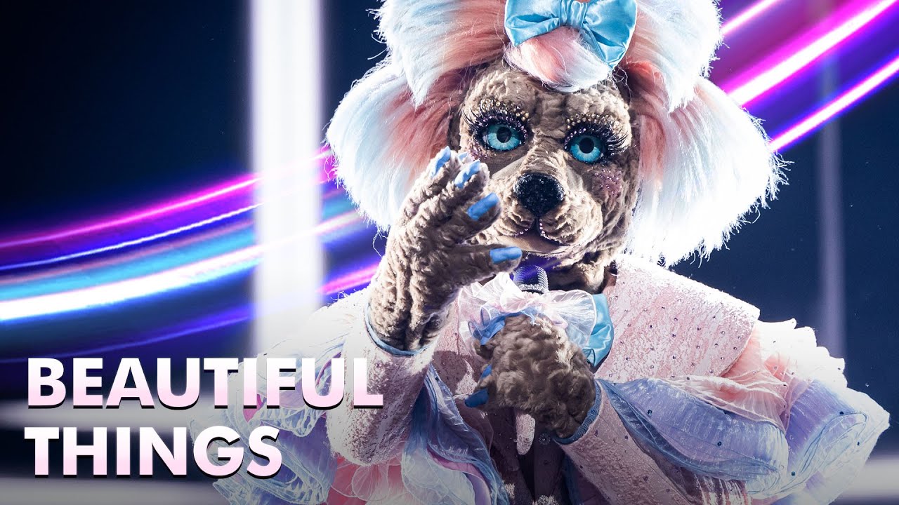Labradoodle - ‘Beautiful Things’ | The Masked Singer | Seizoen 4 | VTM ...