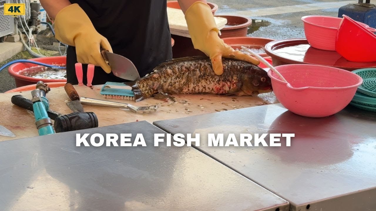 [4K] Amazing Seafood in south Korea | Fish Market Walking Tour | मछली ...
