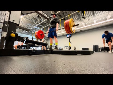 Anabolic Back Day - Day 245 - YouTube