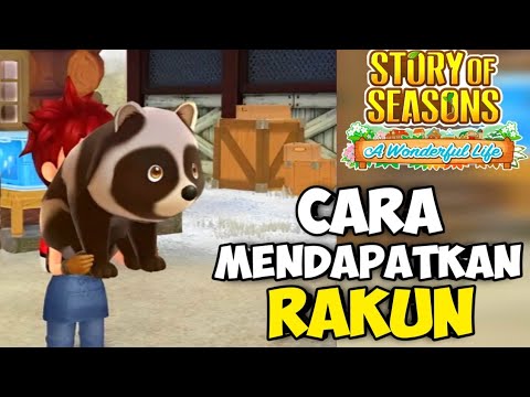 CARA MENDAPATKAN RAKUN DI STORY OF SEASONS A WONDERFUL LIFE REMAKE ...