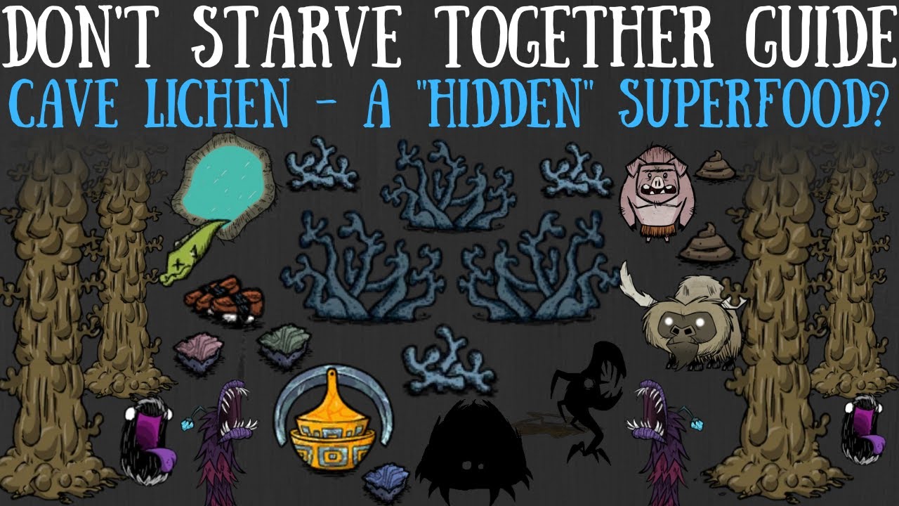 Don't Starve Together Quick Bit Guide: Lichen - YouTube