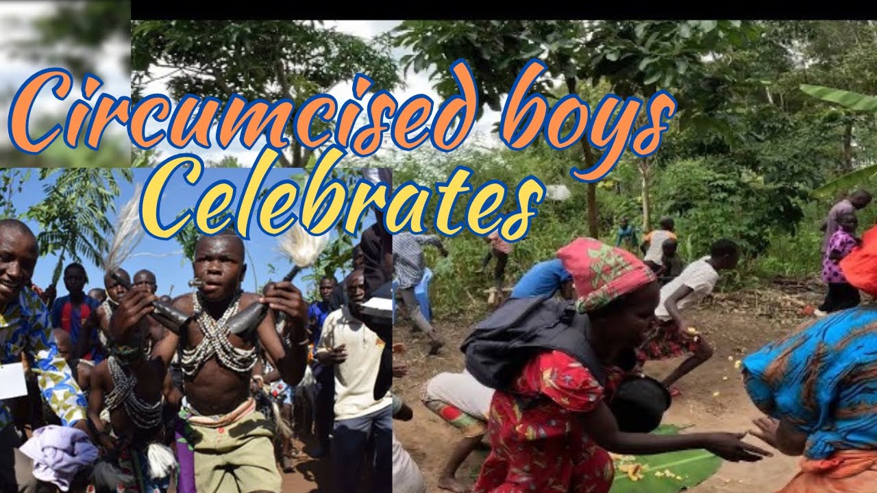 Circumcised Boys in an African Village Bukusu Tribe in Western Kenya 🇰🇪 ...