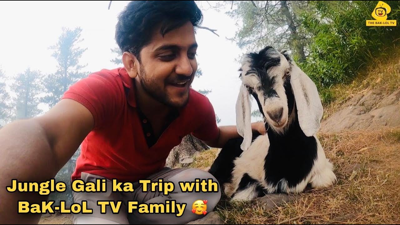 Jungle Gali mai ki Cloud Camp & Cafe walo ke saath Trekking || Vlog 122 ...