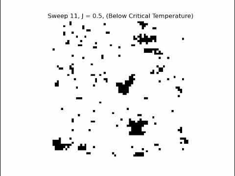 ising model animation, Below Critical Temperature - YouTube