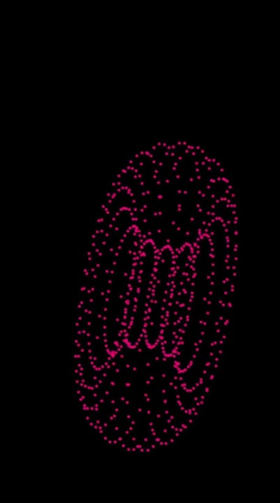 Spinning Donut Animation In Python Youtube