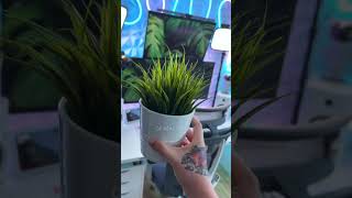 Simple Ways To Improve Your Setup Pt.2 - Plant life! 🪴🌿
