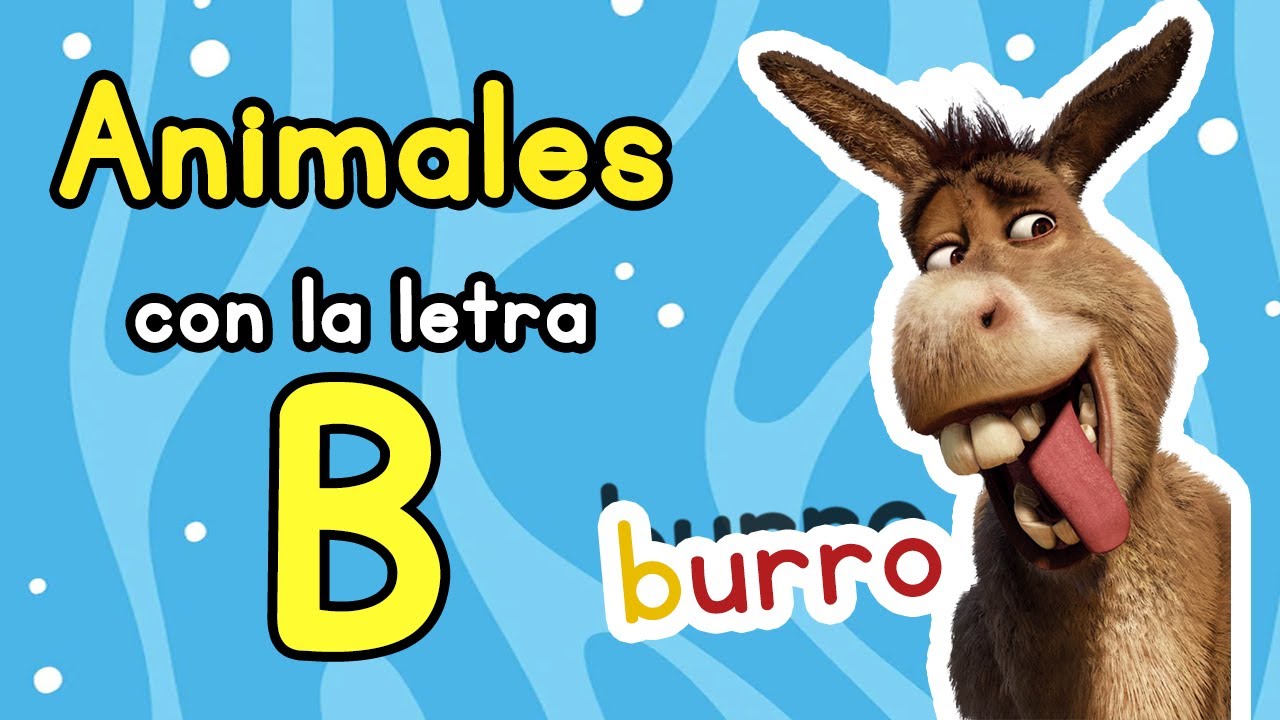 Animales Con La Letra B I ANIMALES CON B I Ejemplos de ANIMALES CON B 🐻 ...