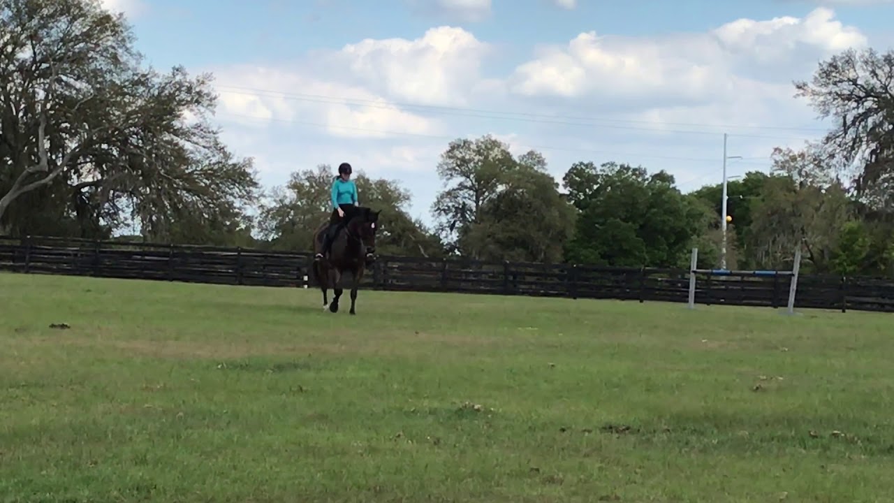 Cora Riding Field - YouTube