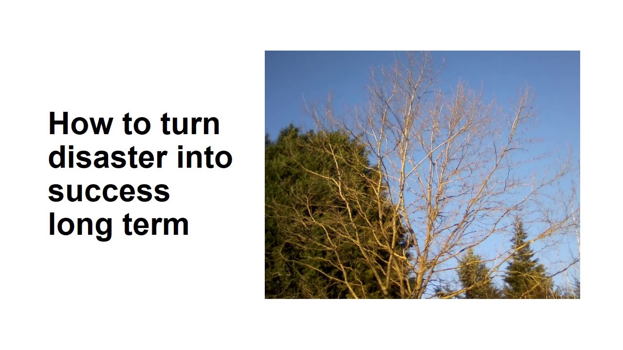 How To Turn Disaster Into Success Long Term - YouTube