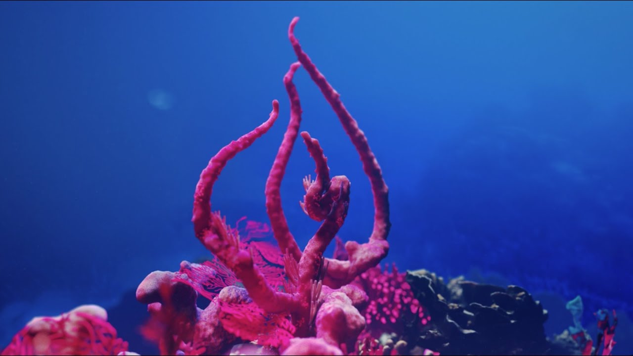 Al Jazeera (English) // Ident #⑤ (2022) - YouTube