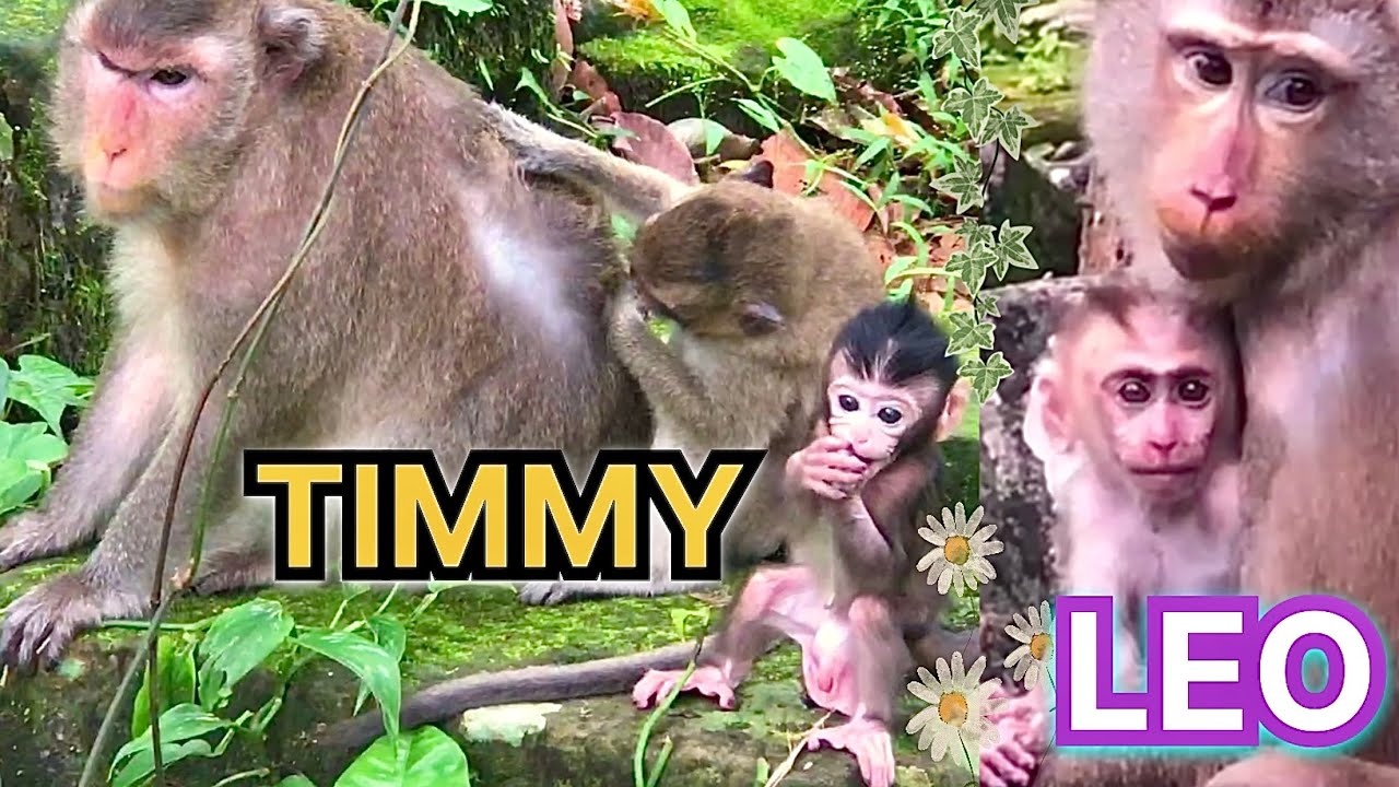 How warm-hearted ! Mommy Libby Takes Care Baby LEO | Mom Jane Takes Care Tiny Timmy 💕 - YouTube