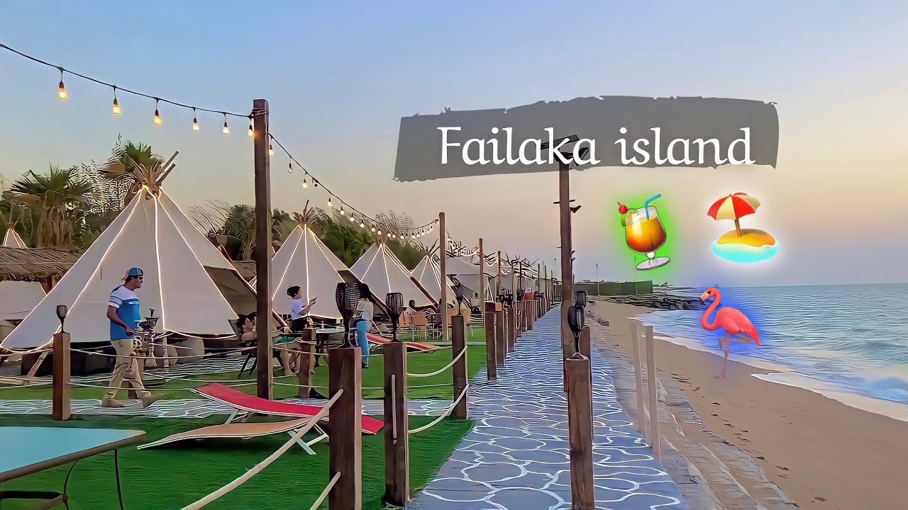رحلتي الى جزيرة فيلجا الكويتية 🏝🦩🇰🇼‏My trip to Failaka Island, Kuwait ...